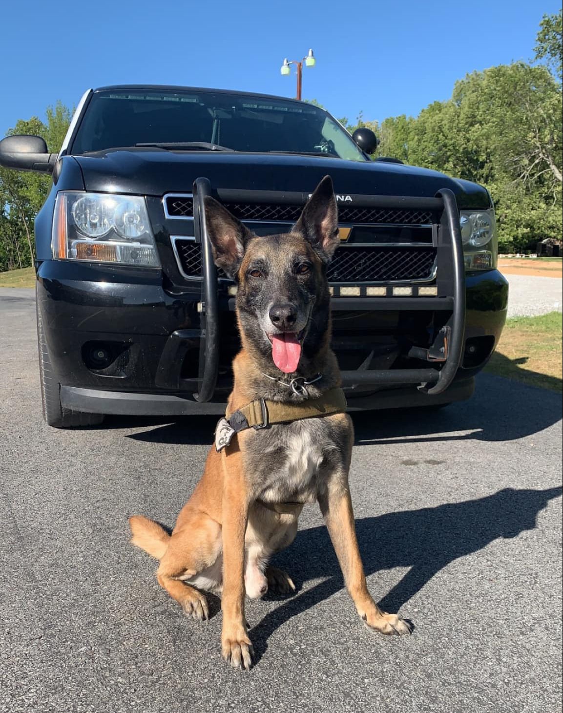 BPD K9 Unit $$ Goal Tracker - Batesville Insurance