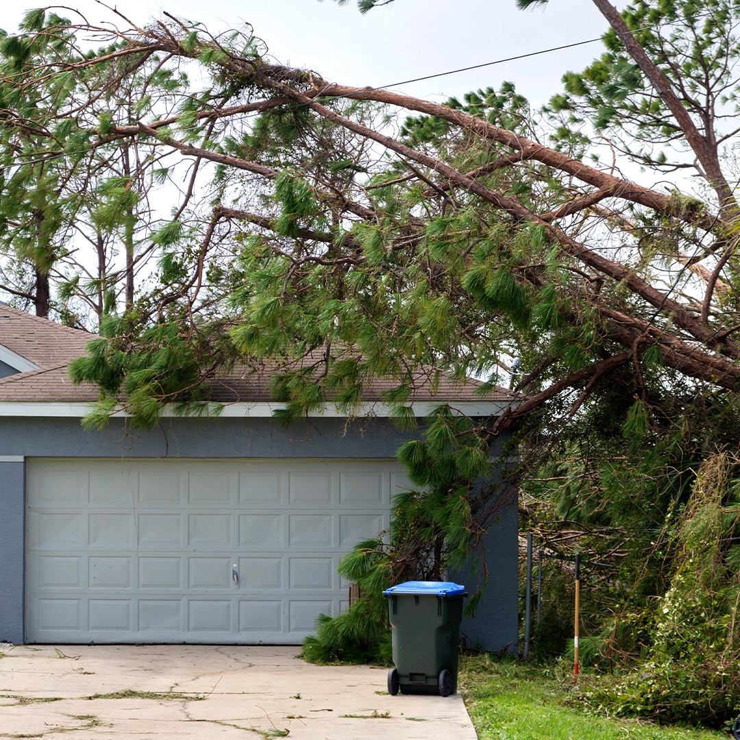 Wind and Hail Trends - Batesville Insurance